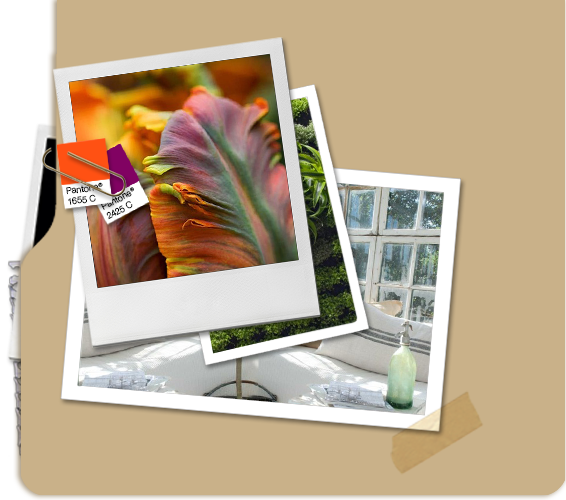 Small-Format-Board - Chute Gerdeman