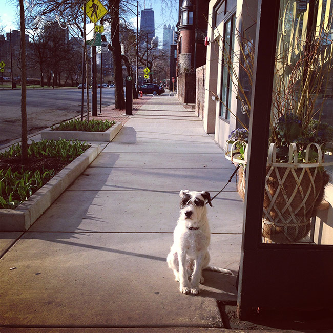 Lincoln8 - Chute Gerdeman