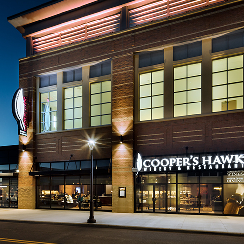 CoopersHawk - Chute Gerdeman