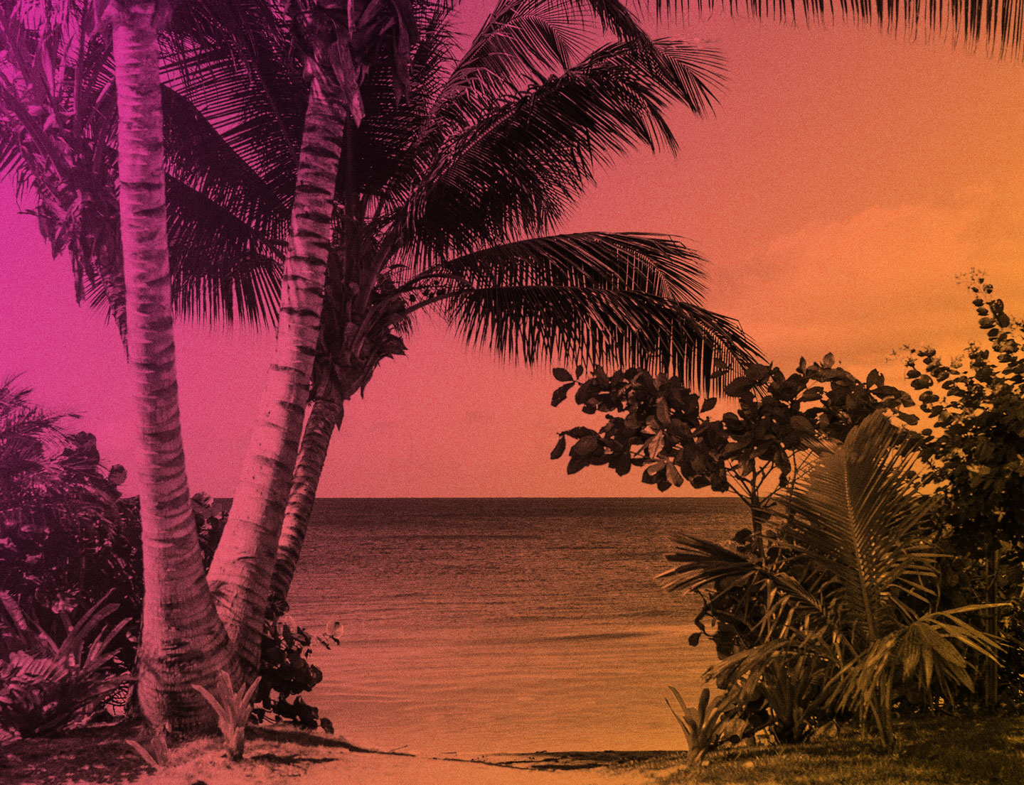 Home - Chute Gerdeman - Award-Winning Retail Design